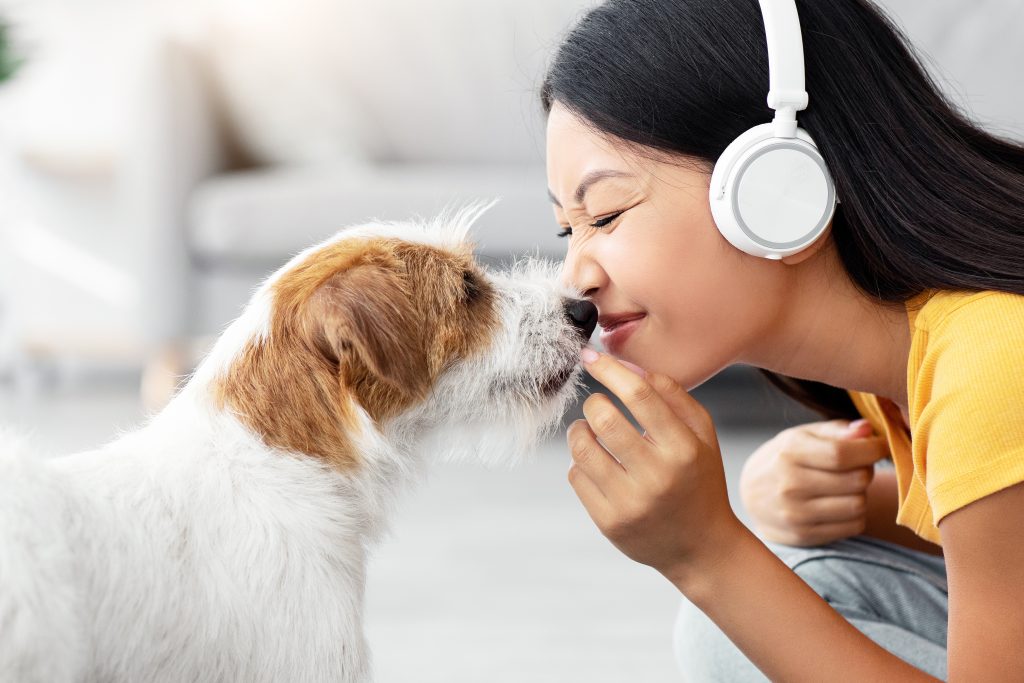 Smelly Dog Syndrome? How Regular Grooming Keeps Odors At Bay