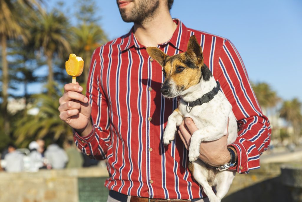 Can Dogs Eat Ice Cream? Risks, Ingredients, And Alternatives